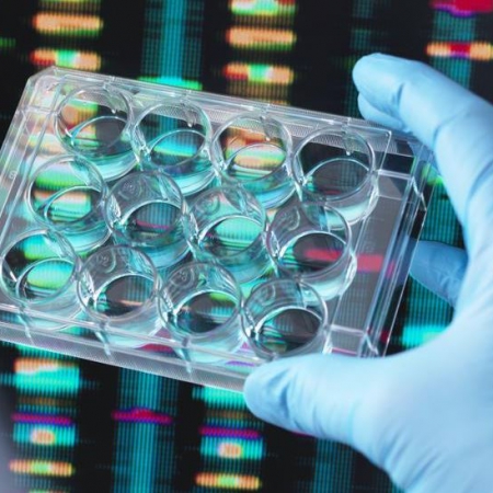 TPP, plastic for cell culture - Durviz SL